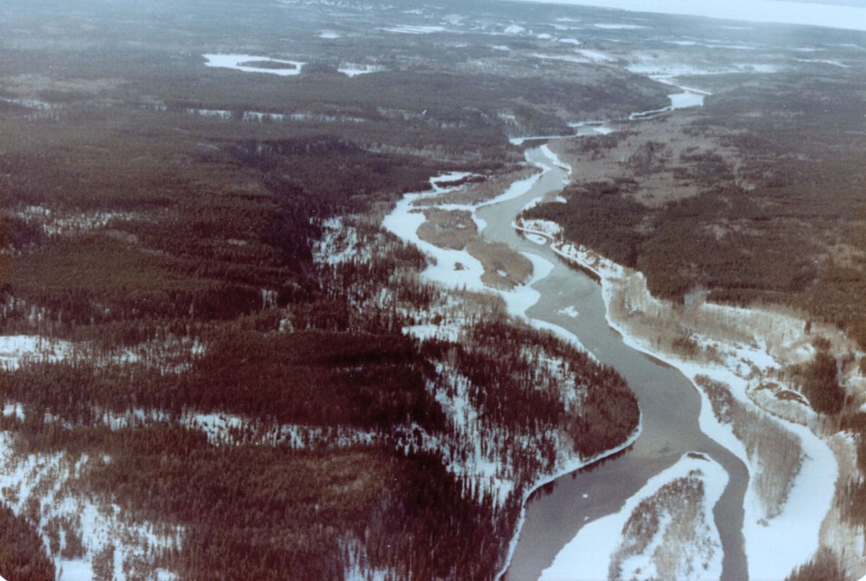 Romancing the stone, panning for gold in BC - Northern Beat